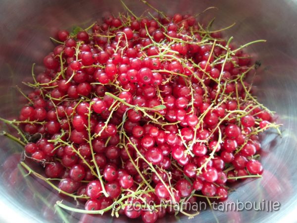 Sirop de groseille Maman Tambouille