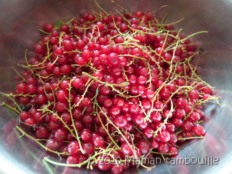 Sirop de groseille Maman Tambouille