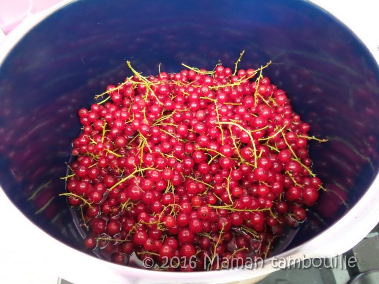 Sirop de groseille Maman Tambouille