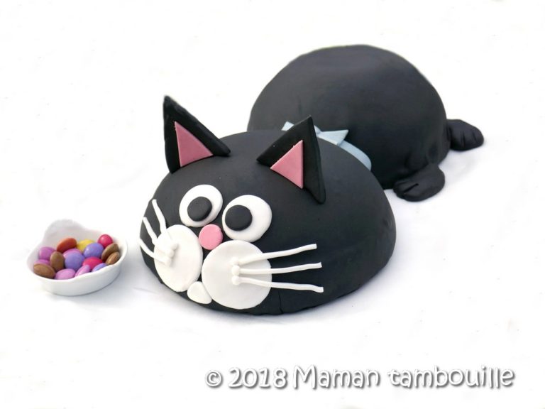 Gâteau chat Maman Tambouille
