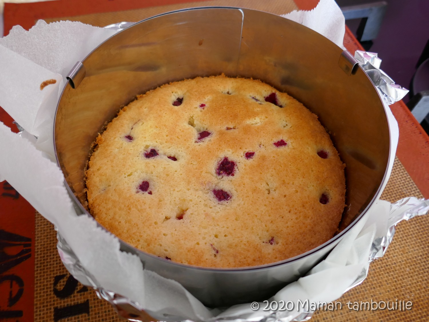 Entremets fruits rouges vanille {Stranger Things} Maman Tambouille