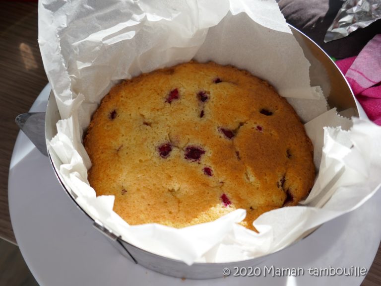 Entremets fruits rouges vanille {Stranger Things} Maman Tambouille