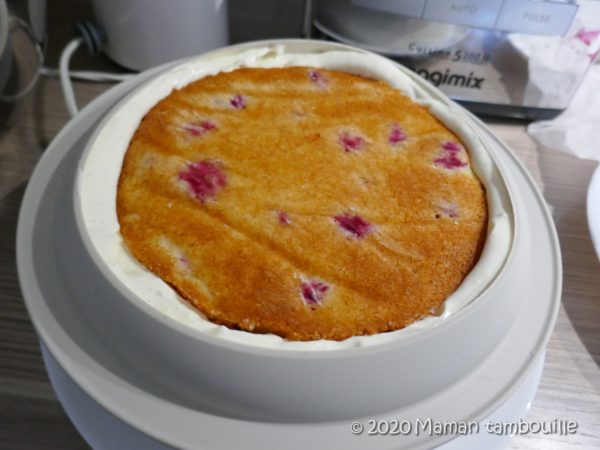 Entremets fruits rouges vanille {Stranger Things} Maman Tambouille